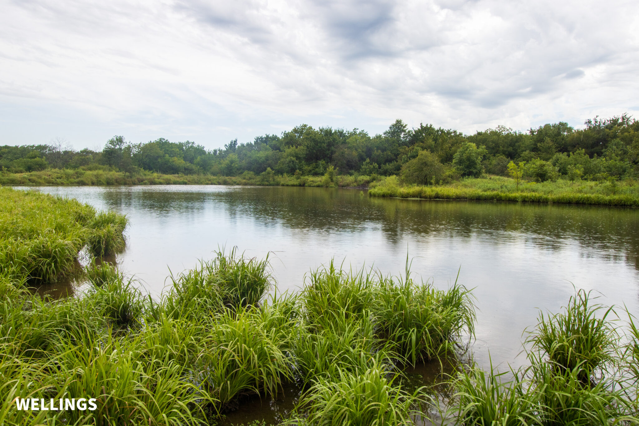 LAND FOR SALE - 183+/- ACRES - JUST WEST OF EUFAULA, OKLAHOMA - Brent ...